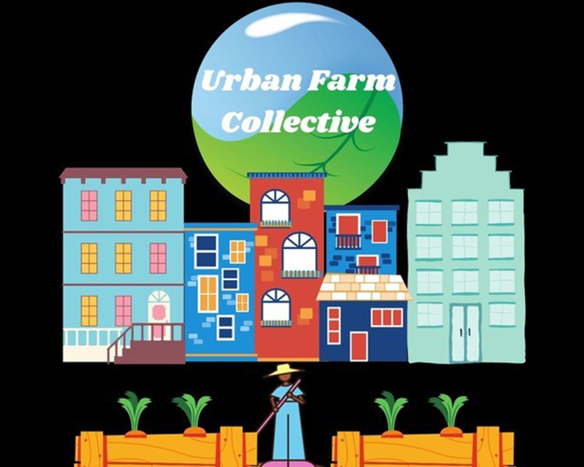 Urban Farm Collective 2021 Mid-Season Update | Minneapolis Community ...