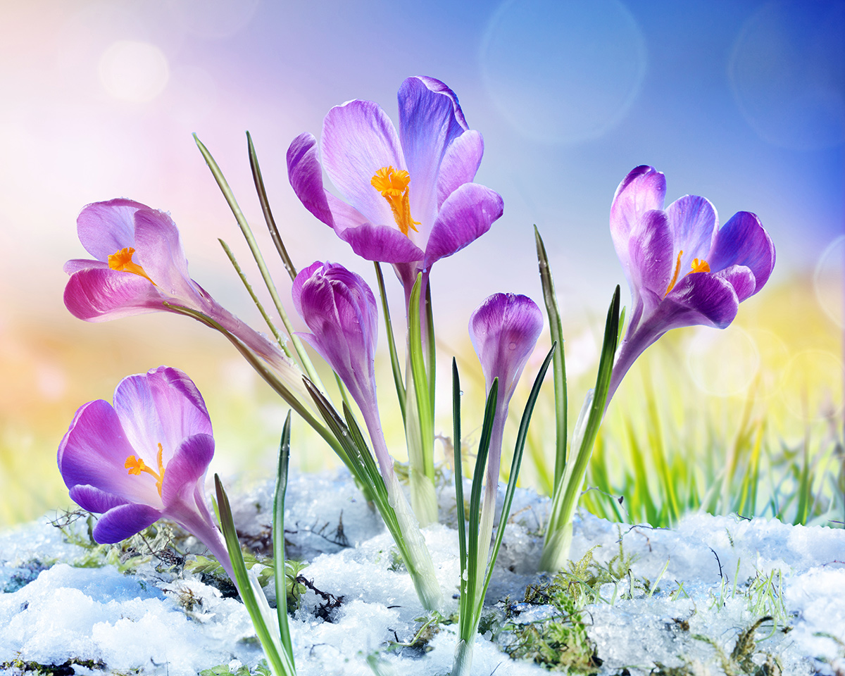 Anticipating Spring | Minneapolis Community & Technical College