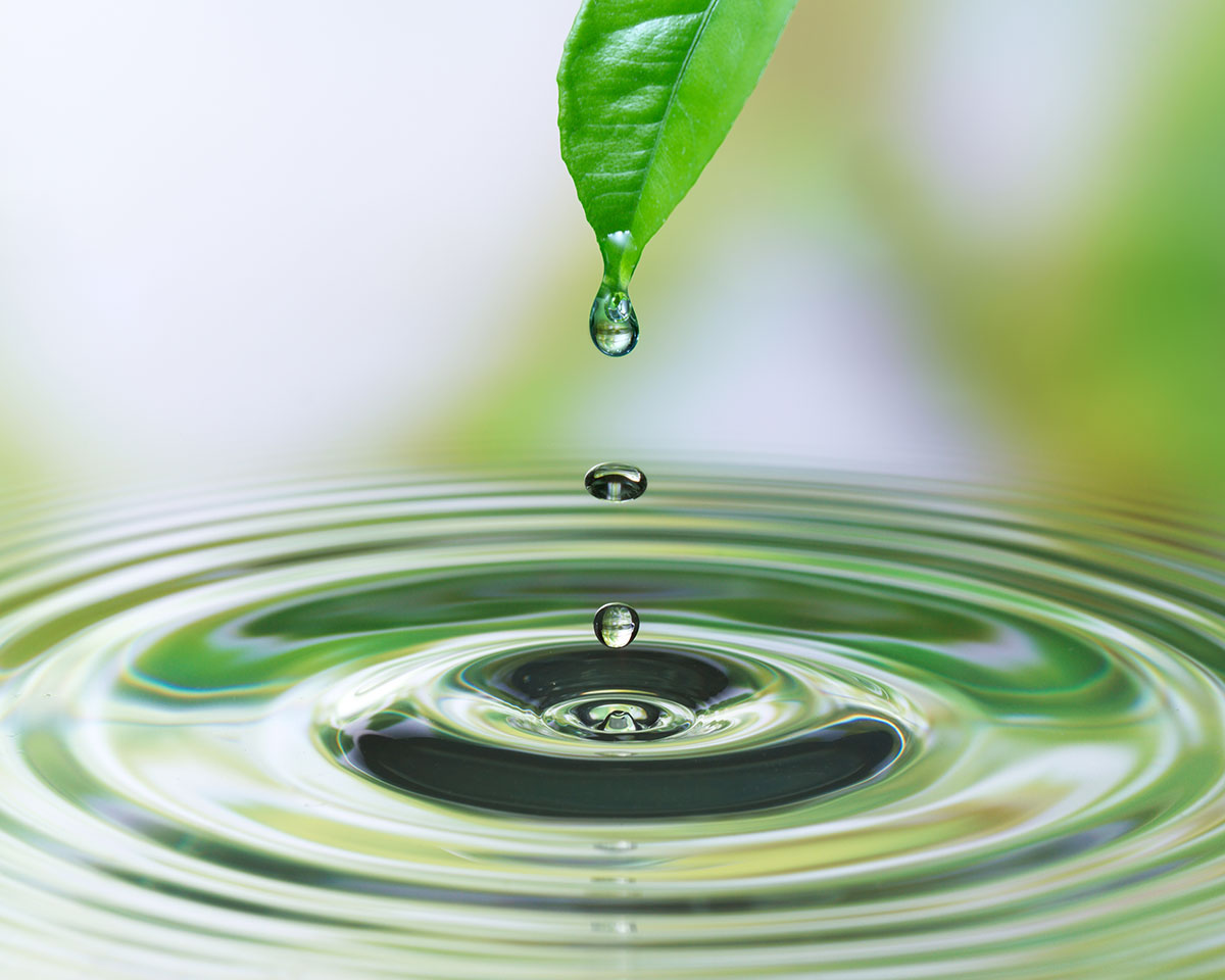 Trainings Help Students Move through Trauma to Healing | Minneapolis ...