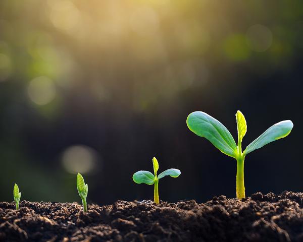 Becoming a Trauma Responsive/Healing Institution | Minneapolis ... Becoming a Trauma Responsive/Healing Institution | Minneapolis ...